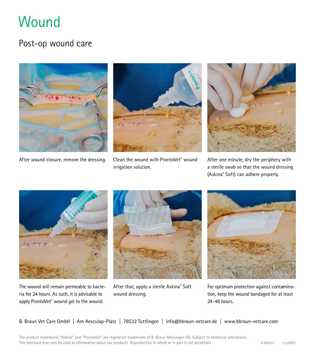 Skin Antisepsis Skin Antisepsis